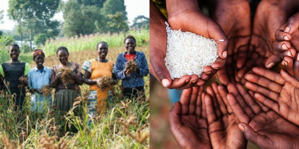World Food Bank Leads Path to Zero Hunger Challenge Globally – The East ...