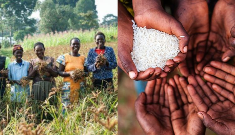 World Food Bank Leads Path to Zero Hunger Challenge Globally – The East ...